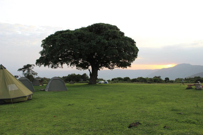 Ngorongoro Simba Campsite: Reviews, Photos & 2026 Rates